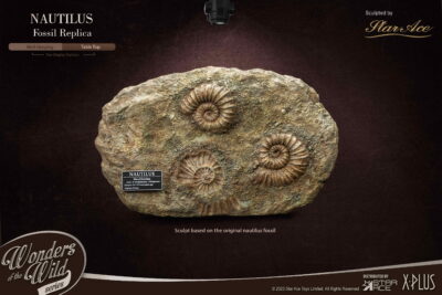 SA5024 - Star Ace Nautilus Miniature Frame & Fossil (Deluxe Version ...