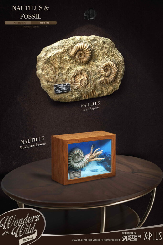 SA5024 - Star Ace Nautilus Miniature Frame & Fossil (Deluxe Version ...