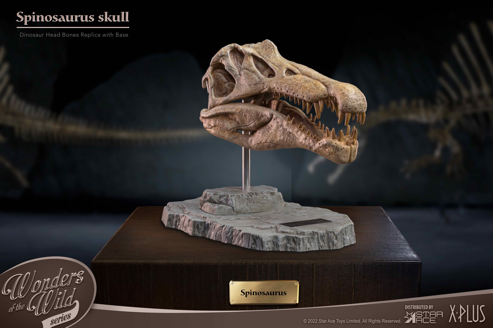 SA5030 - Star Ace Spinosaurus Head Skull Replica - NovelToys Collectible